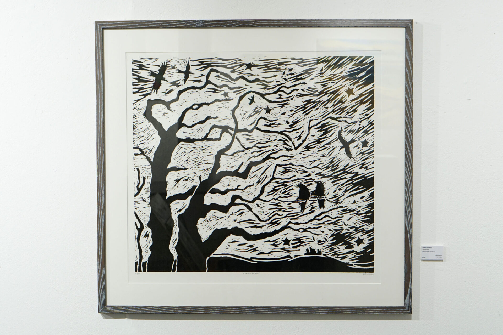 New Gallery: Angela Annesley, Karen McEndoo and Ria Poole ‘Equilibrium ...