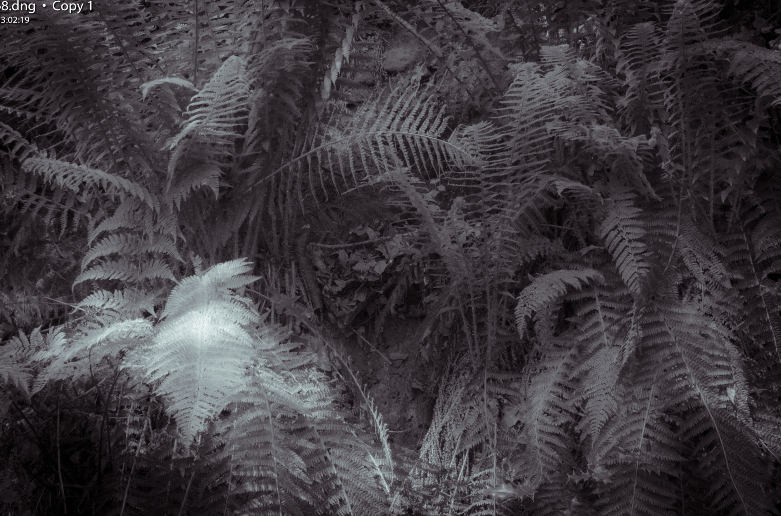 Paula Downing, Antony Hosking & Lynn Simms | Lux & Lithic